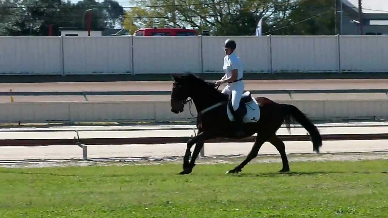 Falcon Braddock at HVSJ - YouTube