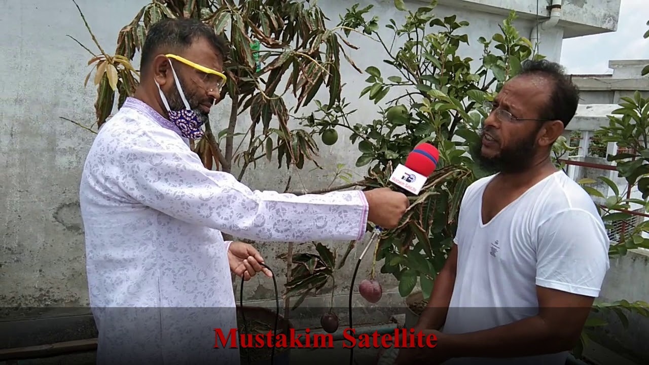 Surjo Dim Mango ( Miyazaki Mango Techonology In Japan ) - YouTube