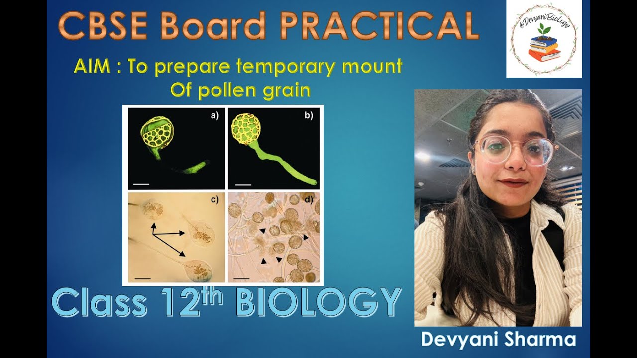 Boards PRACTICAL | CLASS 12th | biology | cbse boards | QUICK REVISION ...