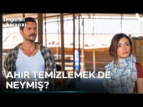 Yaman'dan, Zorlu Görev! - Doğanın Kanunu