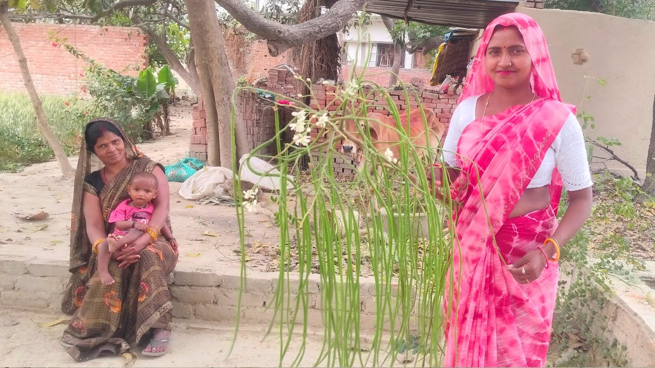 सहजन की यह रेसिपी आपने कभी नहीं बनाया होगा न हि खाया होगा ||Sahjan ki ...