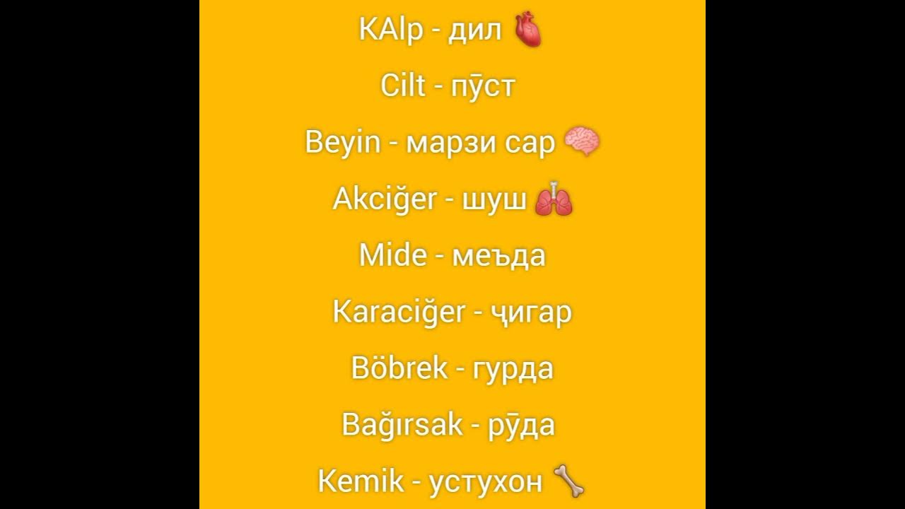 Омузиши забони туркӣ. Узвҳои дарунии бадан. - YouTube