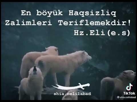 Vhatsapp üçün dini statuslar dini videolar əhli şiə