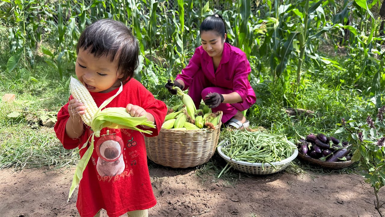 Cute chef Siv hour help to harvest vegetable for cooking - Family food ...