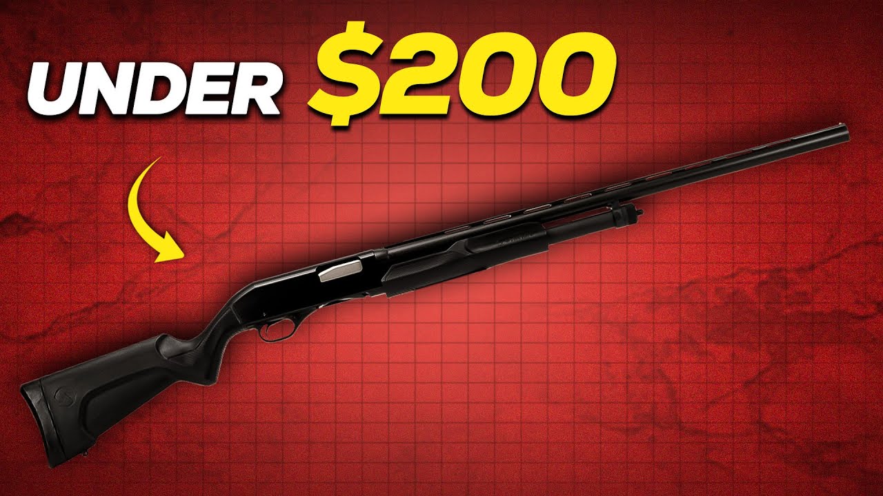 Top 8 Guns under $200 For Seniors in 2025: No.1 Definitely Will ...