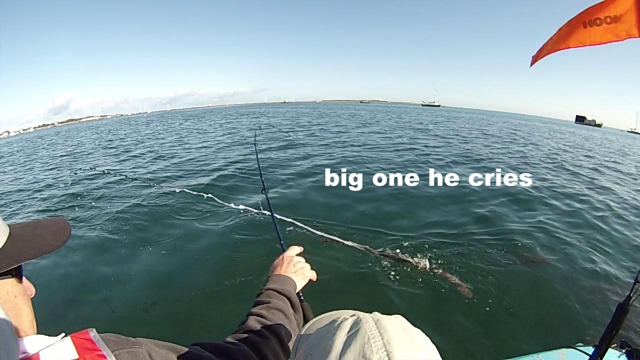 BlueBlood Mangles Bay Squidding - YouTube