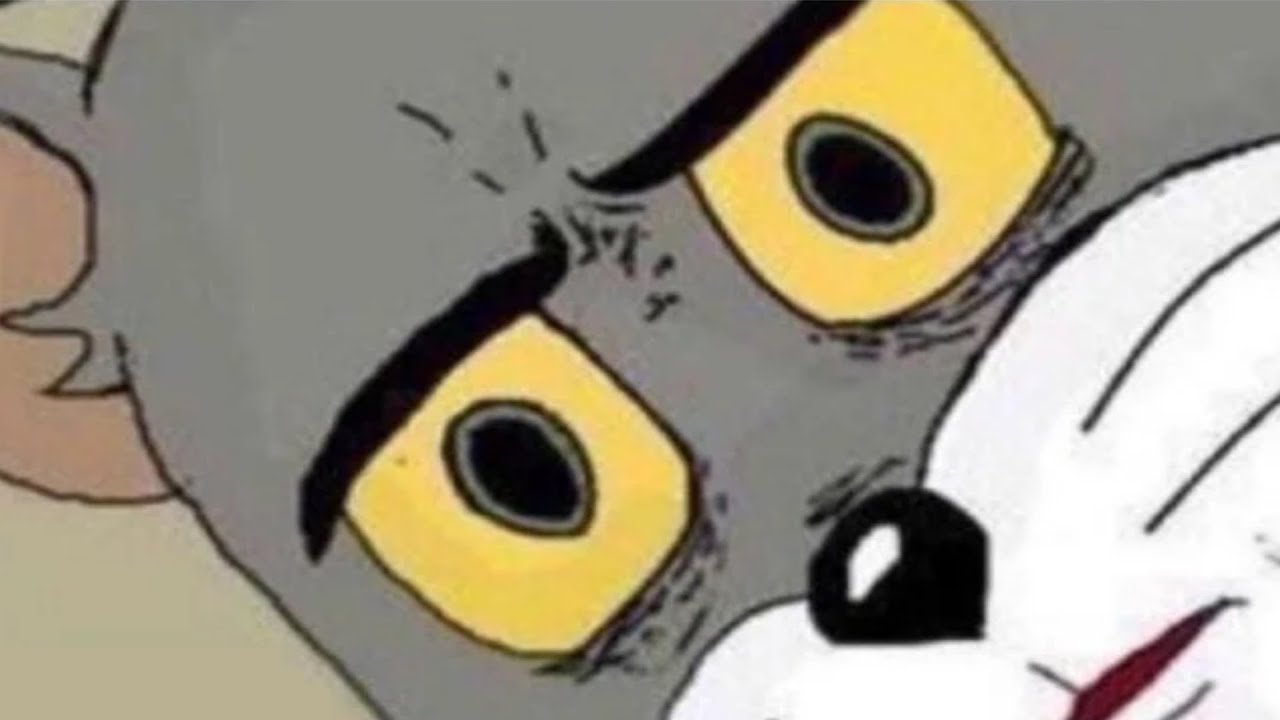 Unsettled Tom Cat Memes - YouTube