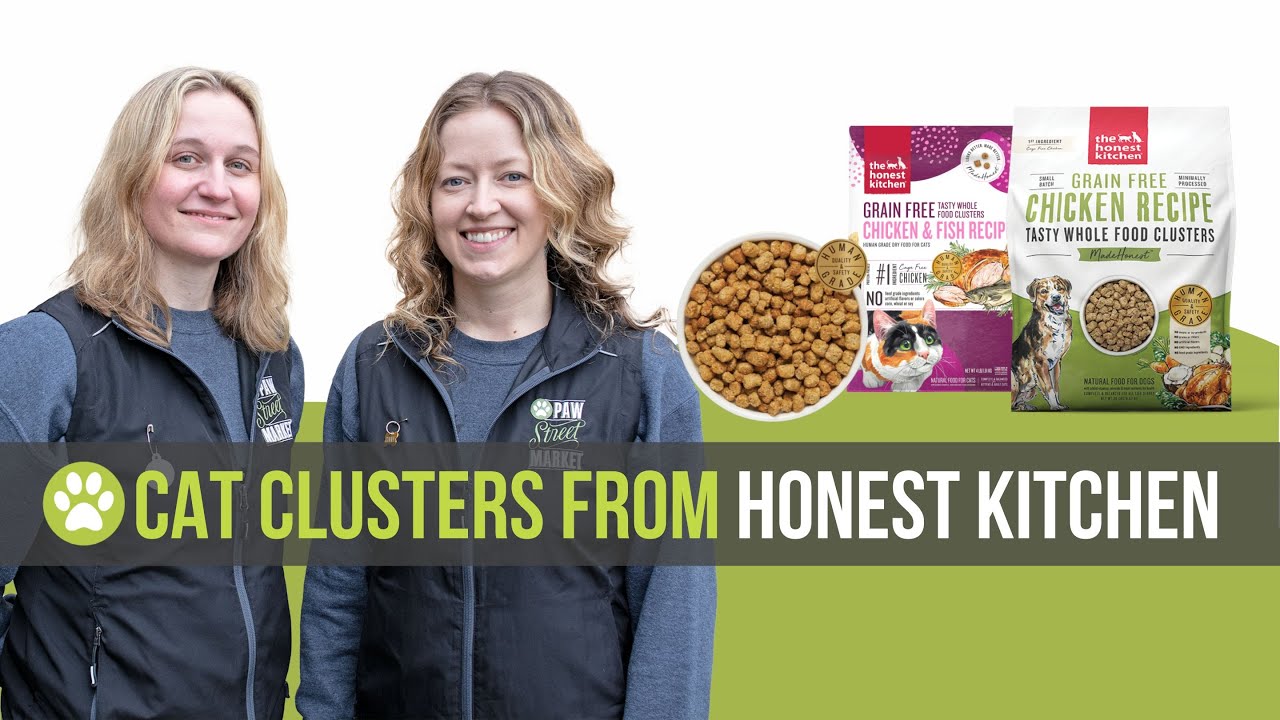 Delicious Cat Clusters from Honest Kitchen - YouTube