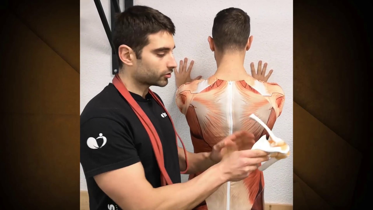 🎥 Escápula alada como corregirla - Roots videotips - YouTube