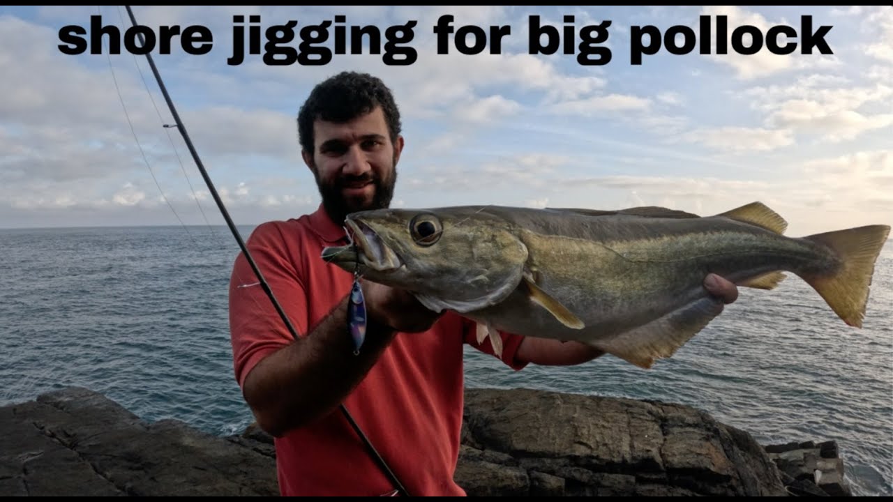 Shore Jigging for Pollock and Wrasse - YouTube