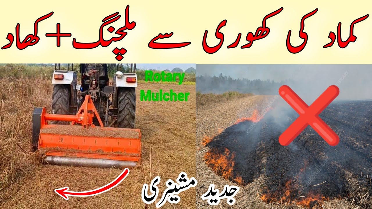 Revolutionizing Sugarcane Farming with Sustainable Mulching Technology ...