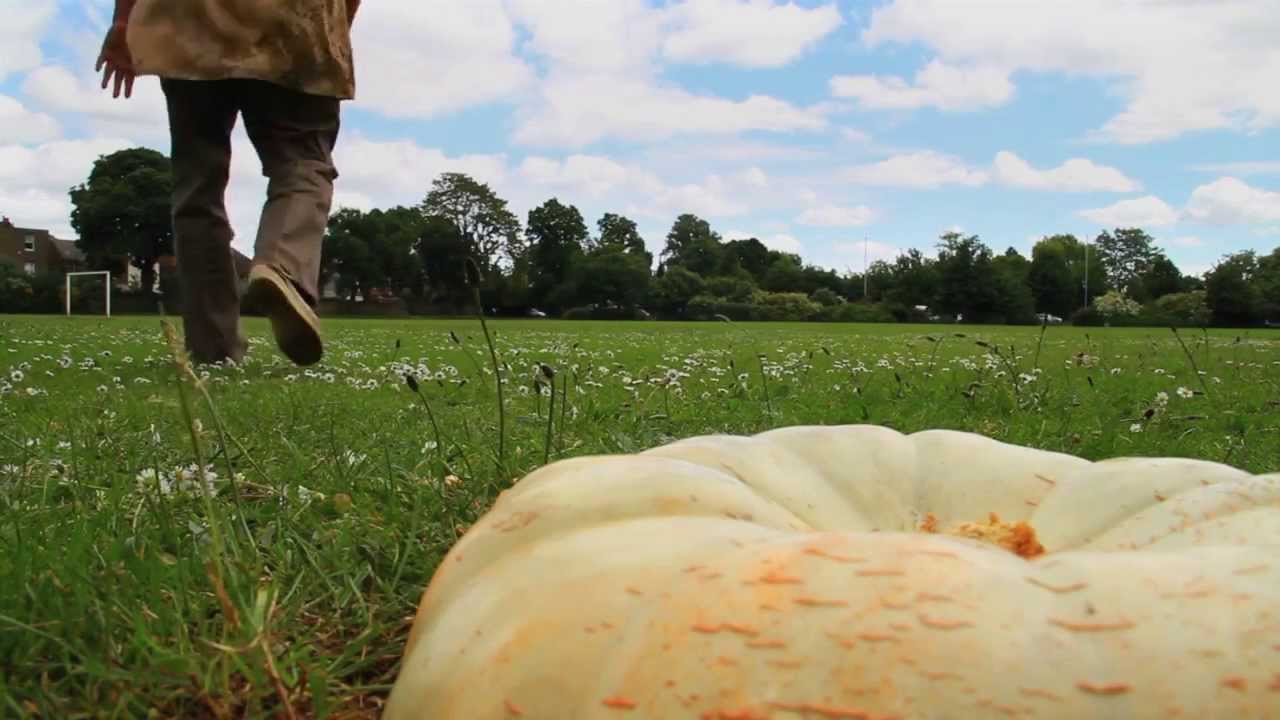 Dance, Pumpkin, Dance! - YouTube