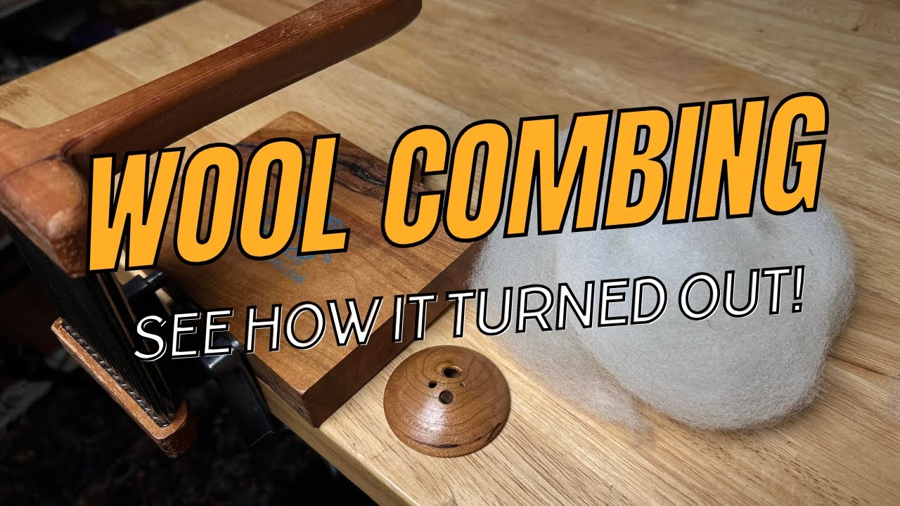 Wool combing Dorset Horn with weathered tips. The perfect worsted prep. Camaj School of Fiber ...