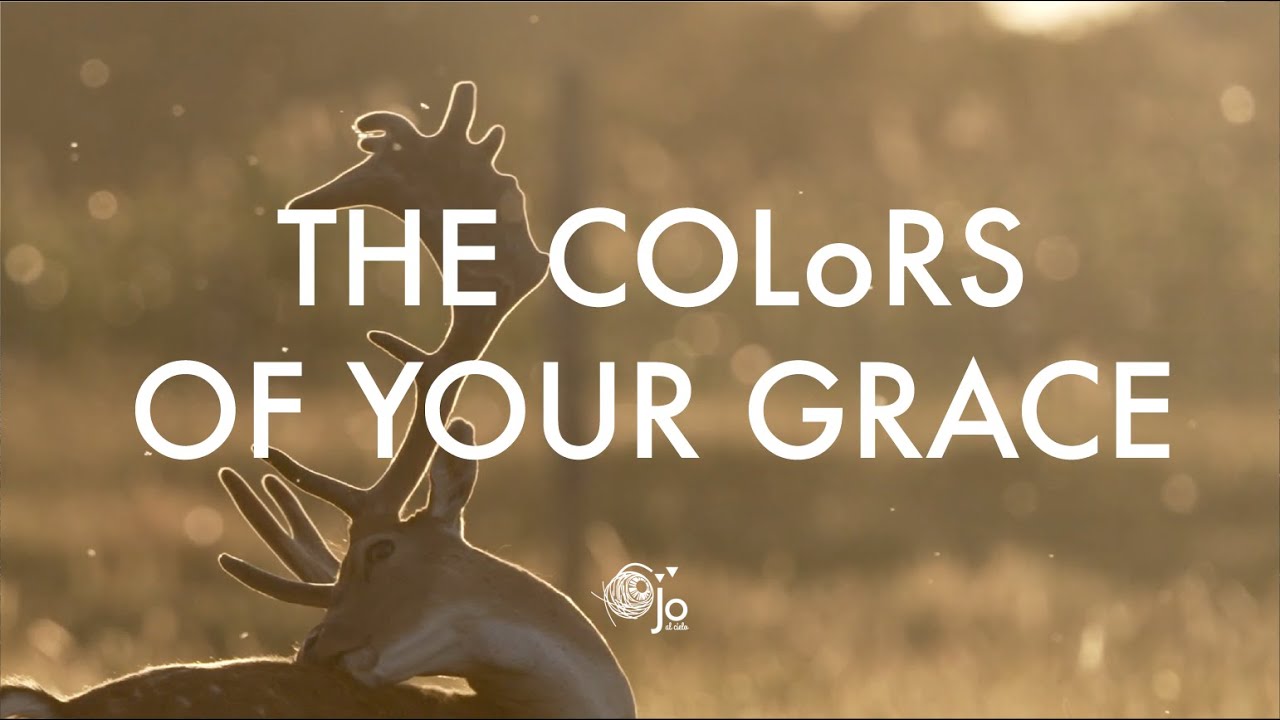 Christian Song The Colors of Your Grace (Lyric Video) | Ojo al Cielo ...