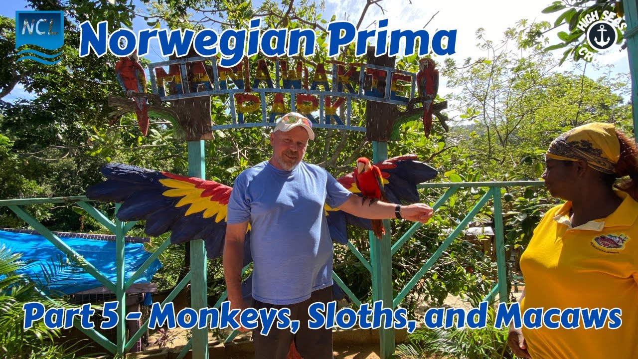 Monkeys, Sloths, And Macaws In Roatan - Part 5 - YouTube