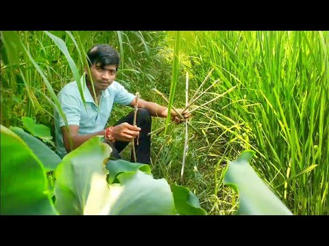 New Technique For Hook Fishing | Fishing Video | Primitive | Primitive Survival|Primitive ...