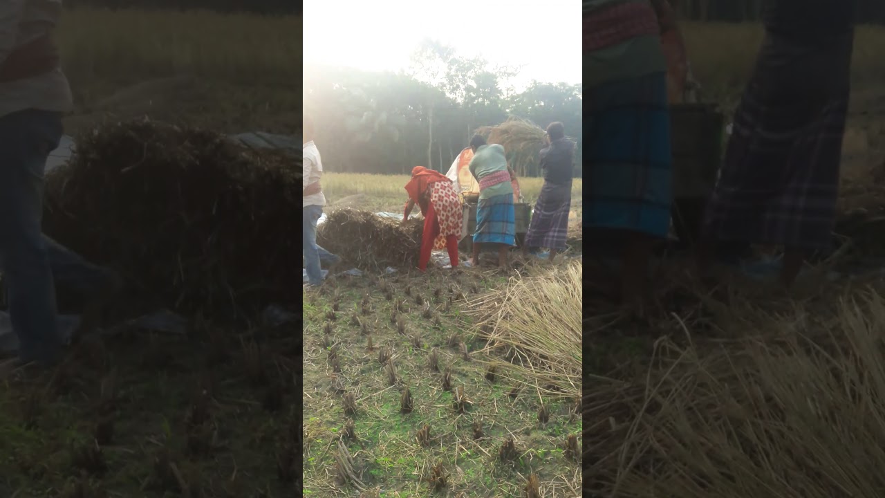 Gramer dreshso - YouTube