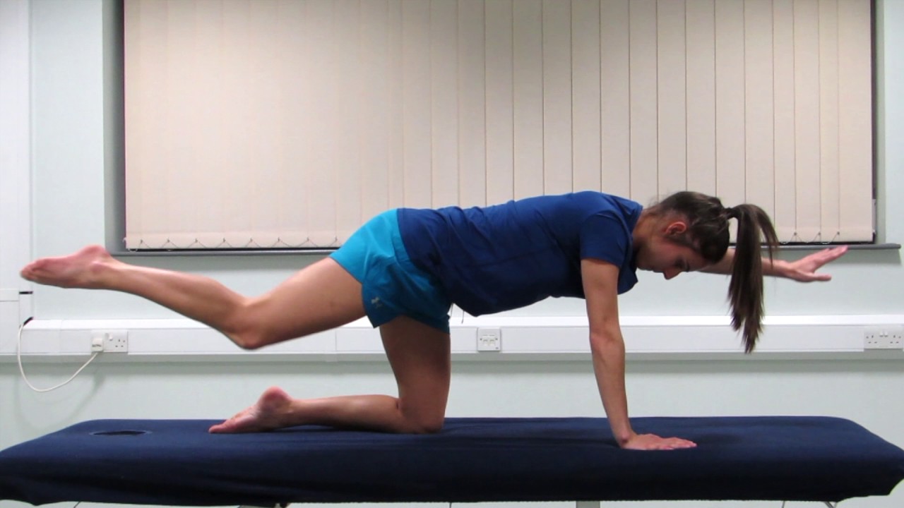 Core Stability - 2 Point Kneeling - YouTube