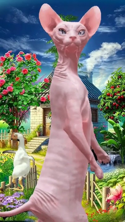 Heart-melting kitten meow meow moment #shorts - YouTube