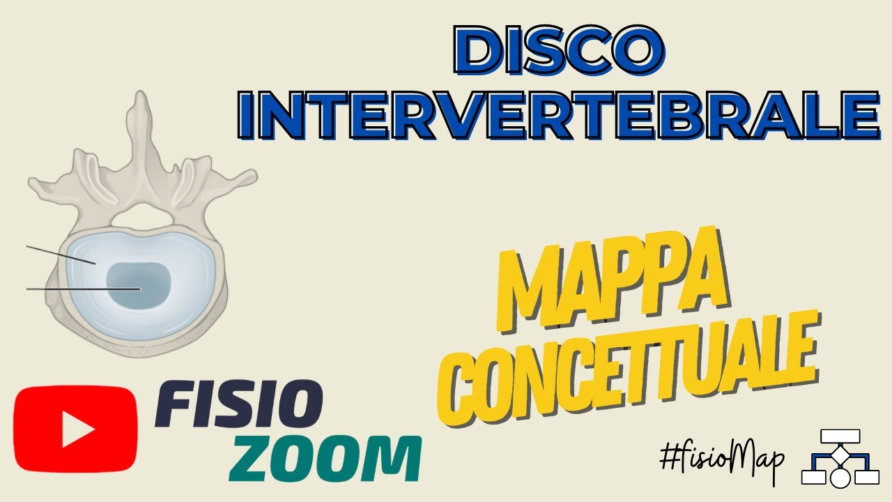 Disco intervertebrale/ #FisioMap - YouTube