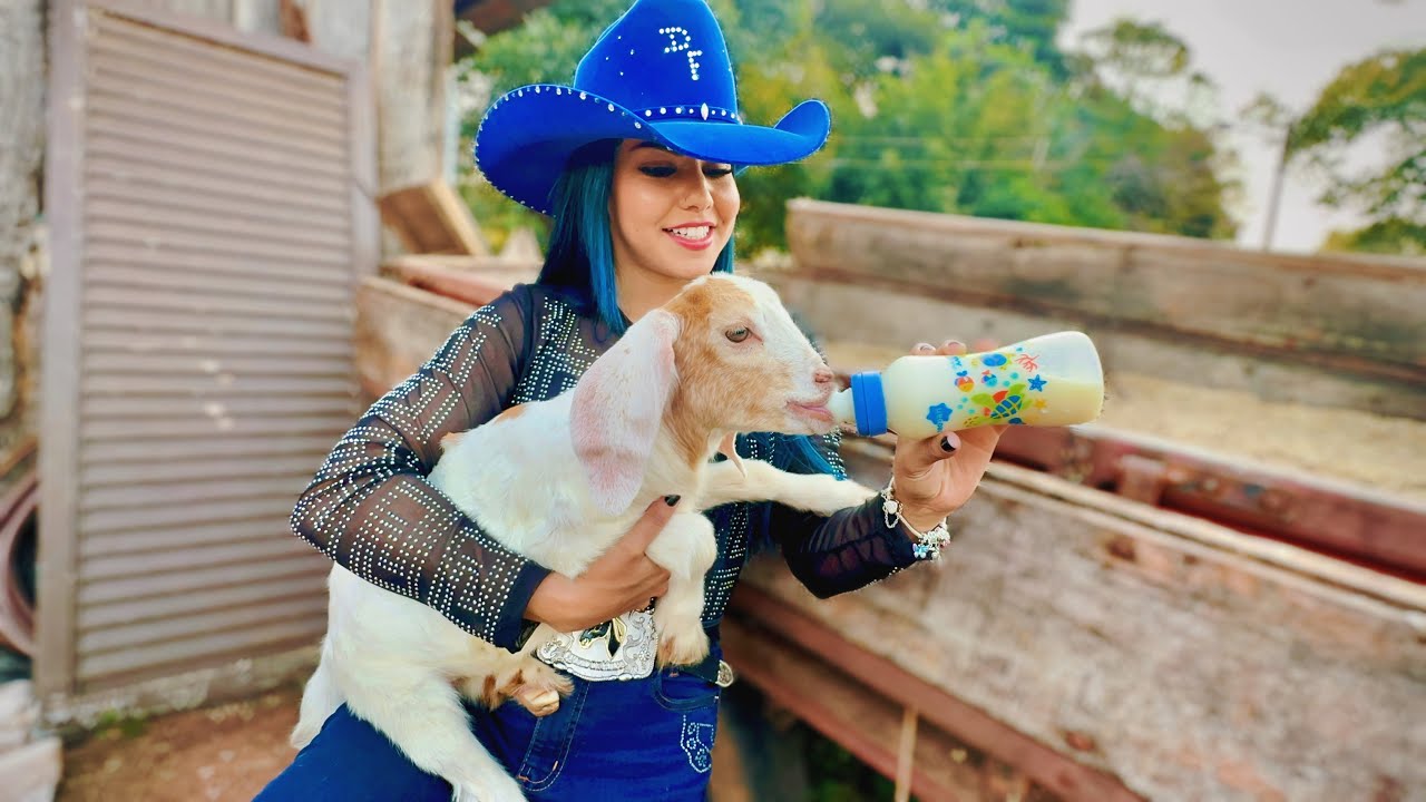 VIREI MAMÃE DA MINI CABRITA NA FAZENDA 🥹🥰 *Como vou cuidar dela ...