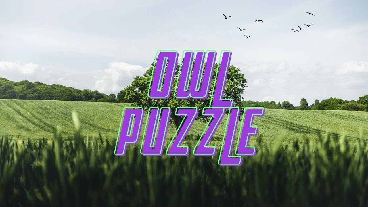 Jigsaw Puzzle #16 Owl - YouTube