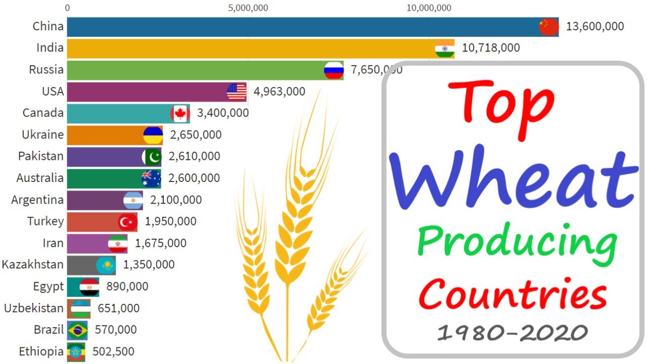 Top Wheat Producing Countries 1980 2020 Best Vs Best YouTube top-wheat-producing-countries-1980-2020-best-vs-best-youtube