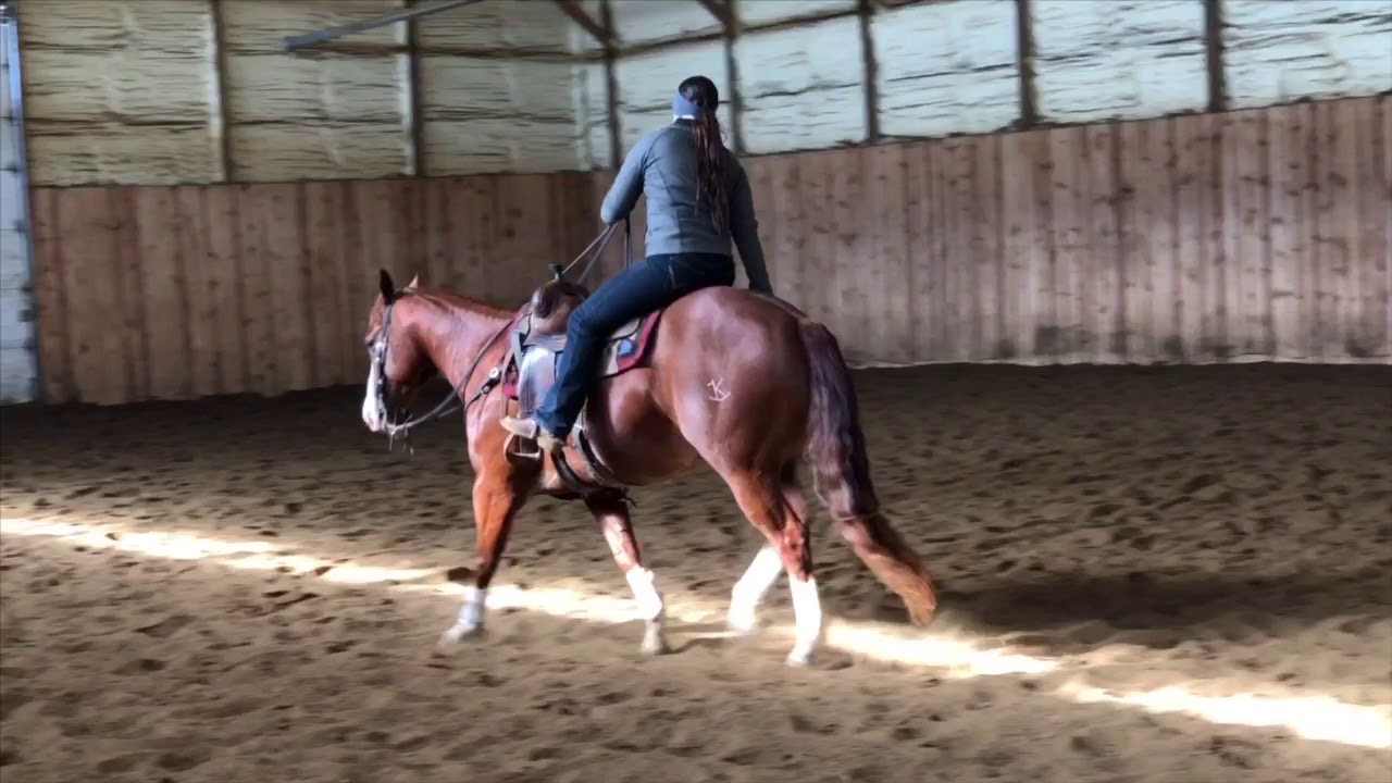 Snorts Pepto - SOLD by Schmitt Horse Ranch - YouTube