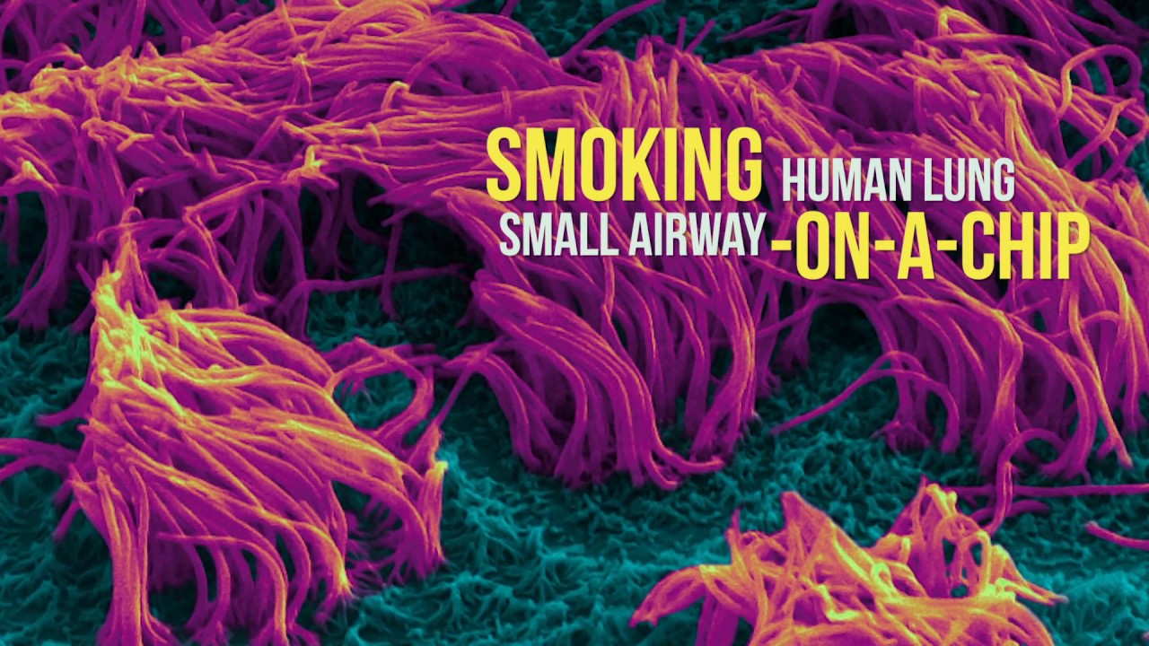 Harvard has built a cigarette-smoking robot, and it's here to help ...