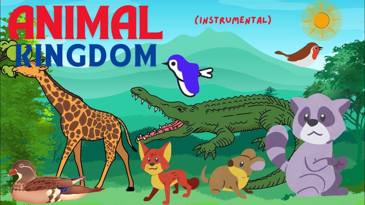 ANIMAL KINGDOM JAMBOREE/An Animated Educational Video With Lyrics - YouTube