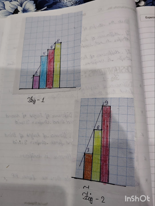 Math class 10 (lab manual activity 2) #class10 - YouTube