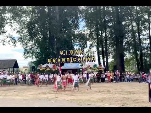 Bibak Grand Cañao in CANADA