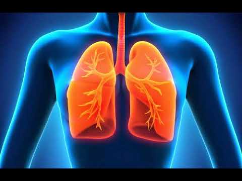 Breath Sounds Rhonchi - YouTube