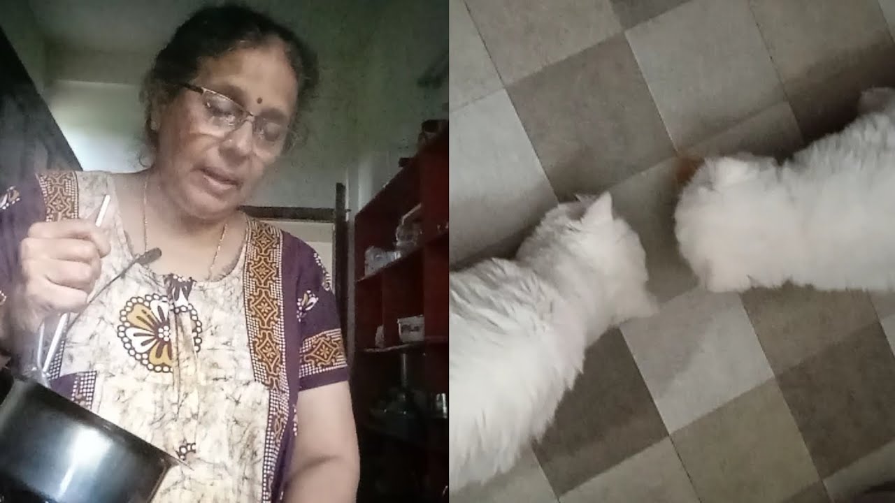 ഇനി അങ്ങോട്ട് വിശേഷങ്ങൾ തുടങ്ങാം... അല്ലേ...|| Geetha Viswanathan - YouTube