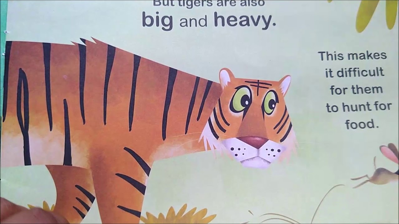 "Watch out! The Tiger is Here" Reading and Narration - YouTube