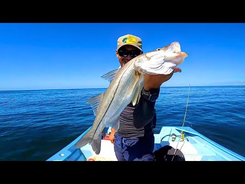 pesca de robalos en barco undido con jigs||pesca en mazatlan Sinaloa ...
