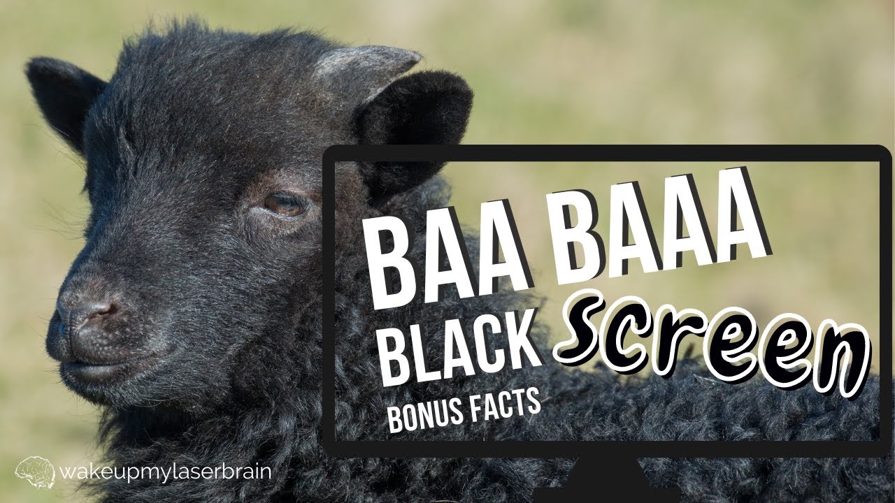 🐑 Sheep Baaing Sounds | 📺 Black Screen | 🕙 10 Hours | For Sleep ...