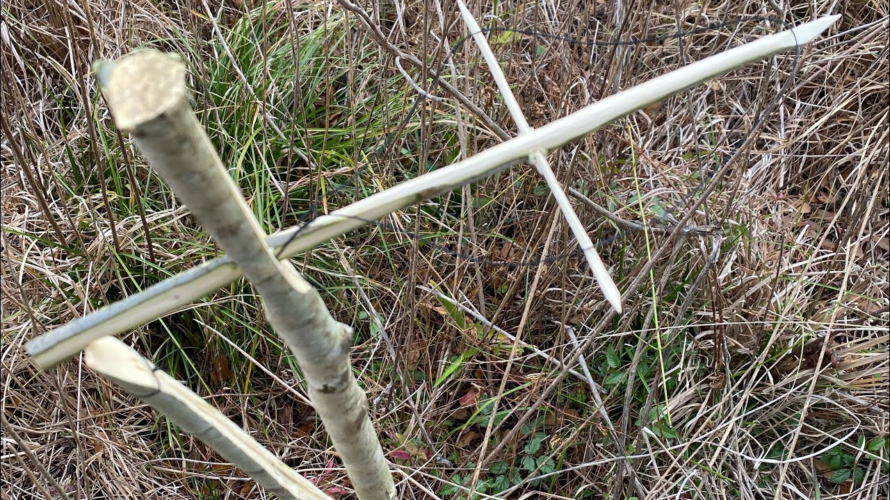 Ojibwa Bird Snare. Reimagined! Survival Trapping! - YouTube