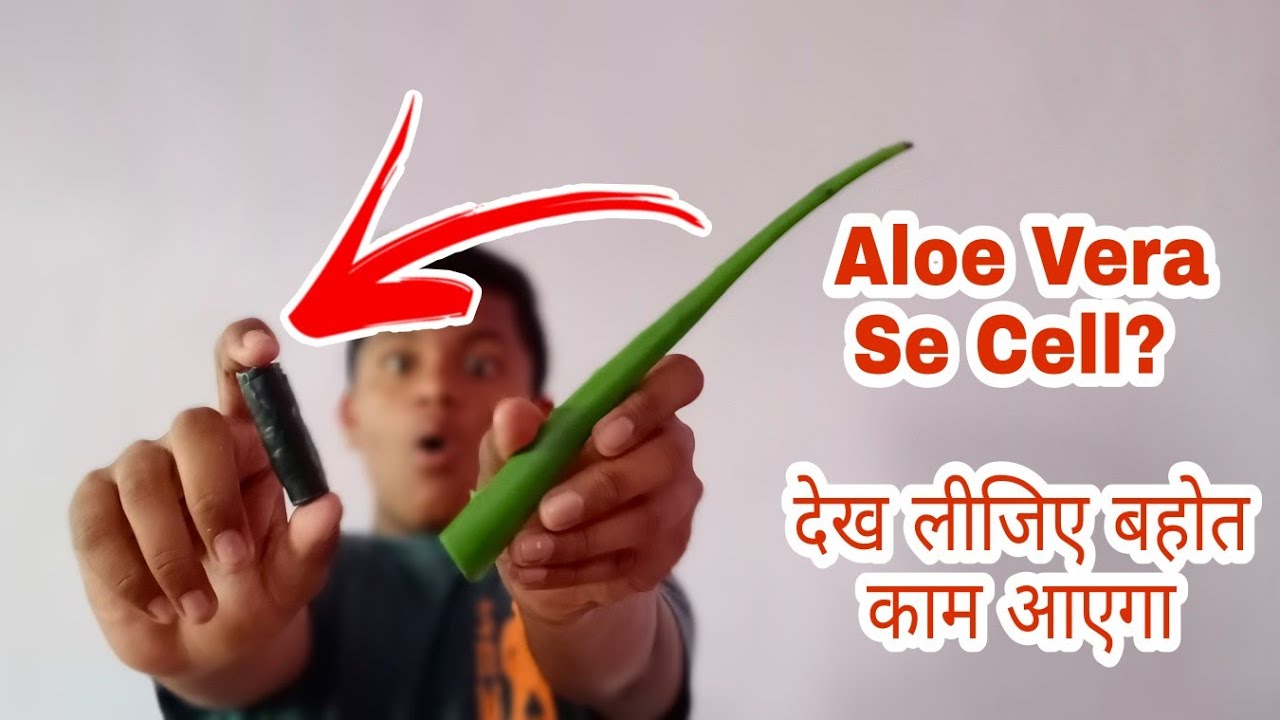 How to make battery cell using aloe vera - YouTube