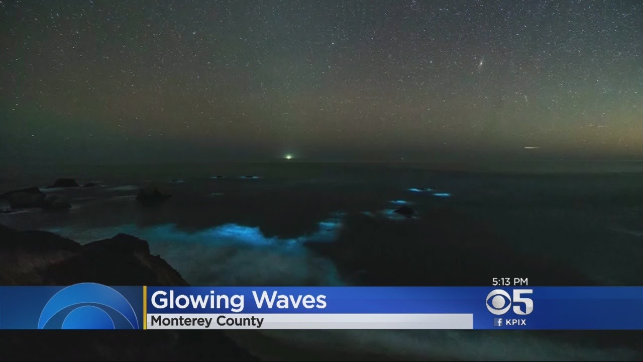 Glowing Micro Algae Lighting Up Surf Near Big Sur - YouTube