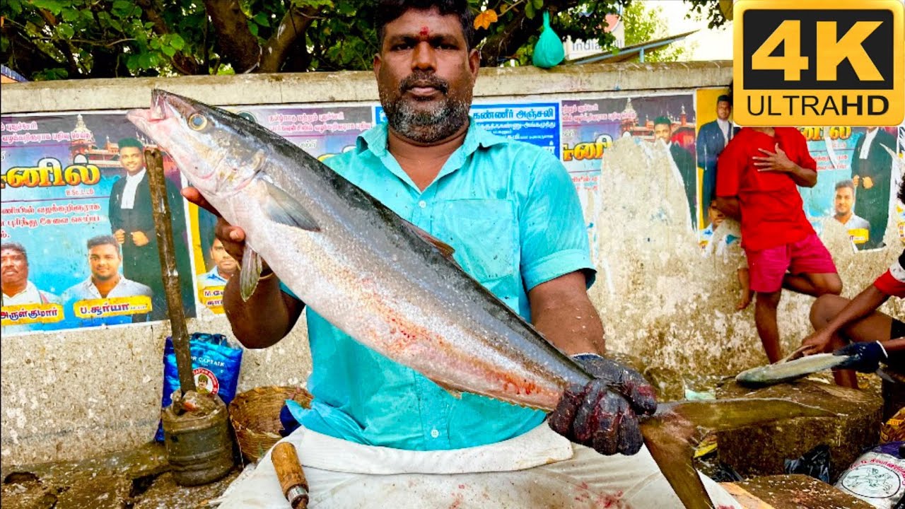 Kadora fish cutting video/fishcuttingrs#fish #kasimedu #fishcuttingrs ...