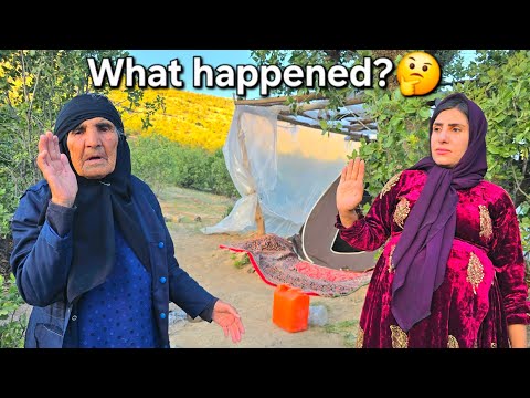 Grandma's strange decision shocked the world: What's the matter?