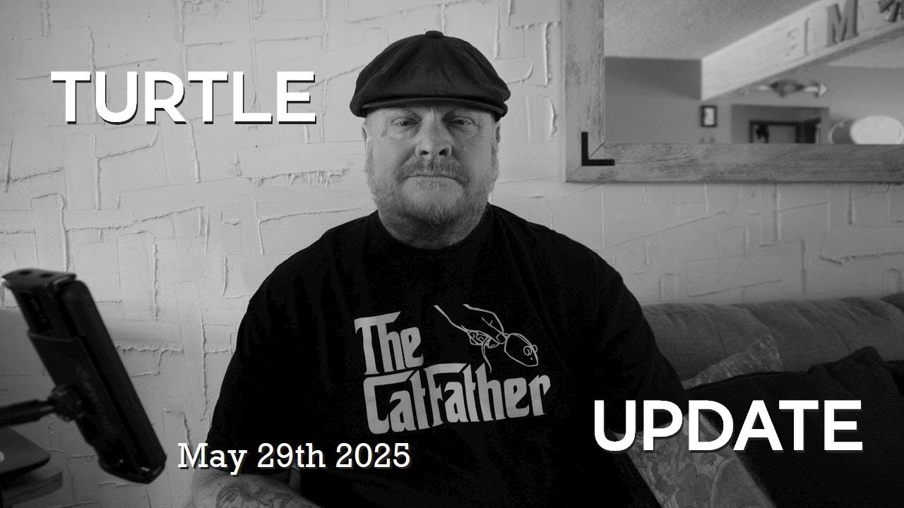 Turtle the Cat Update (5/29/25) - YouTube