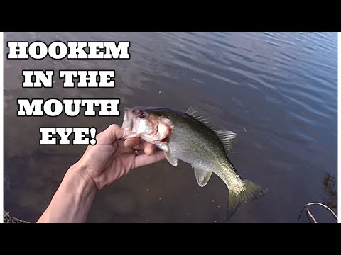 Fighting aggressive UFC Fish 🎣! One EYE LARGEMOUTH! HE’S Ok! Fishing for Bass !