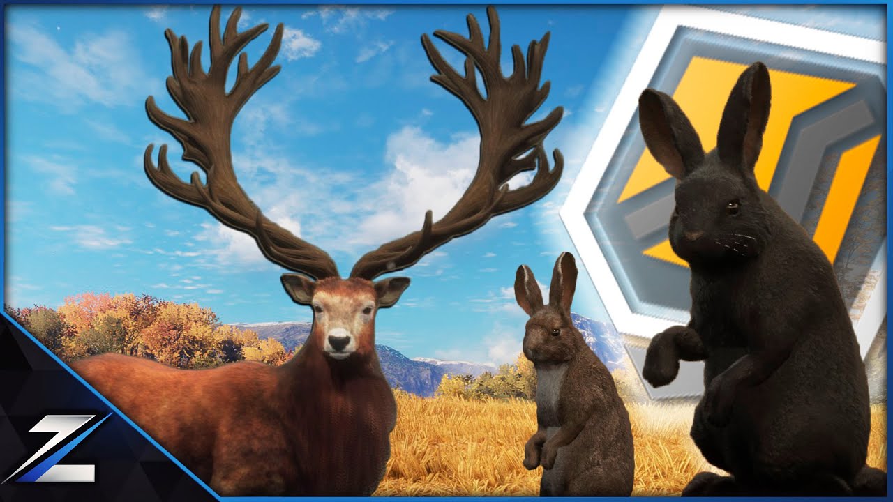 Huge Legendary Red Deer Delivery and More European Bunny Trophies ...