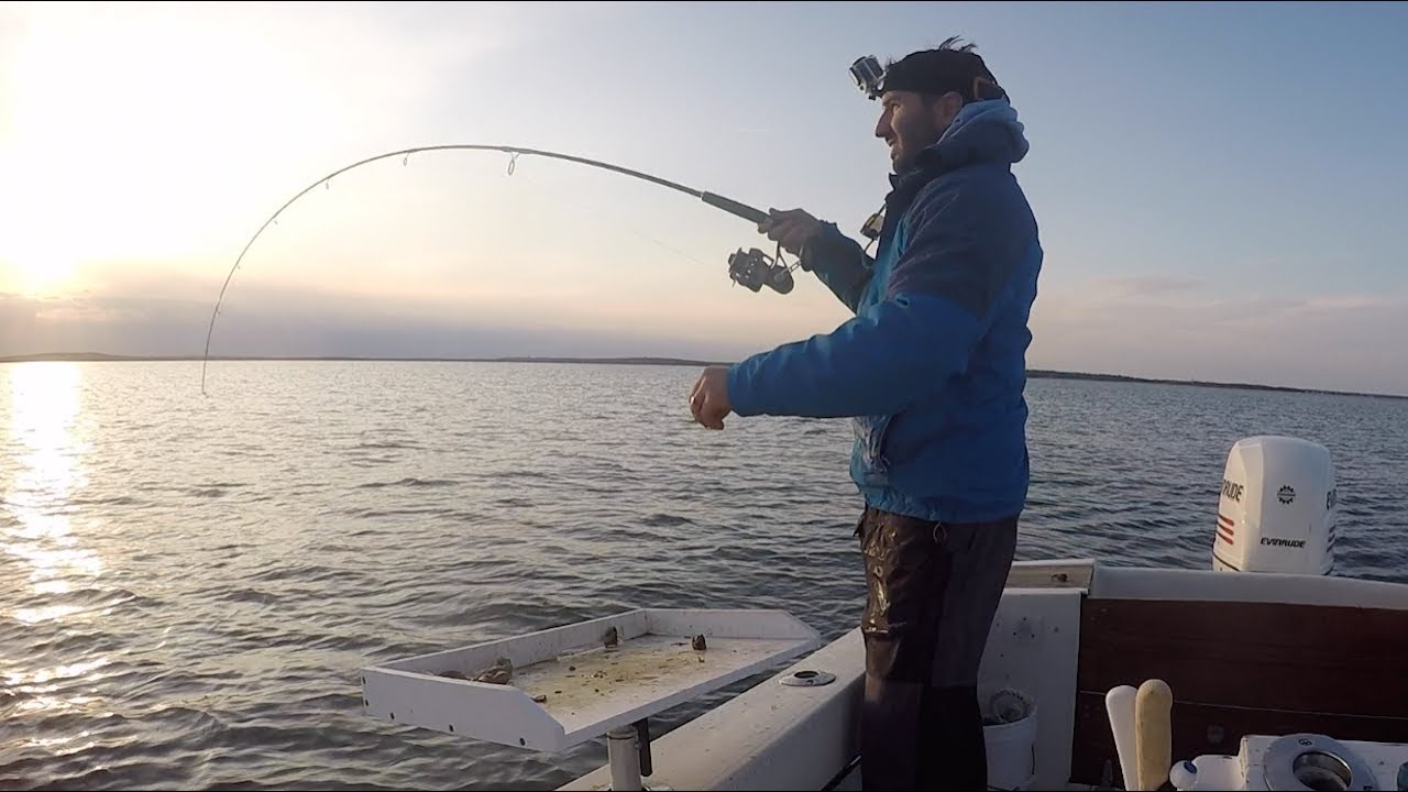 Chumming Up "Monster" Scup And Tautog On Cape Cod - YouTube