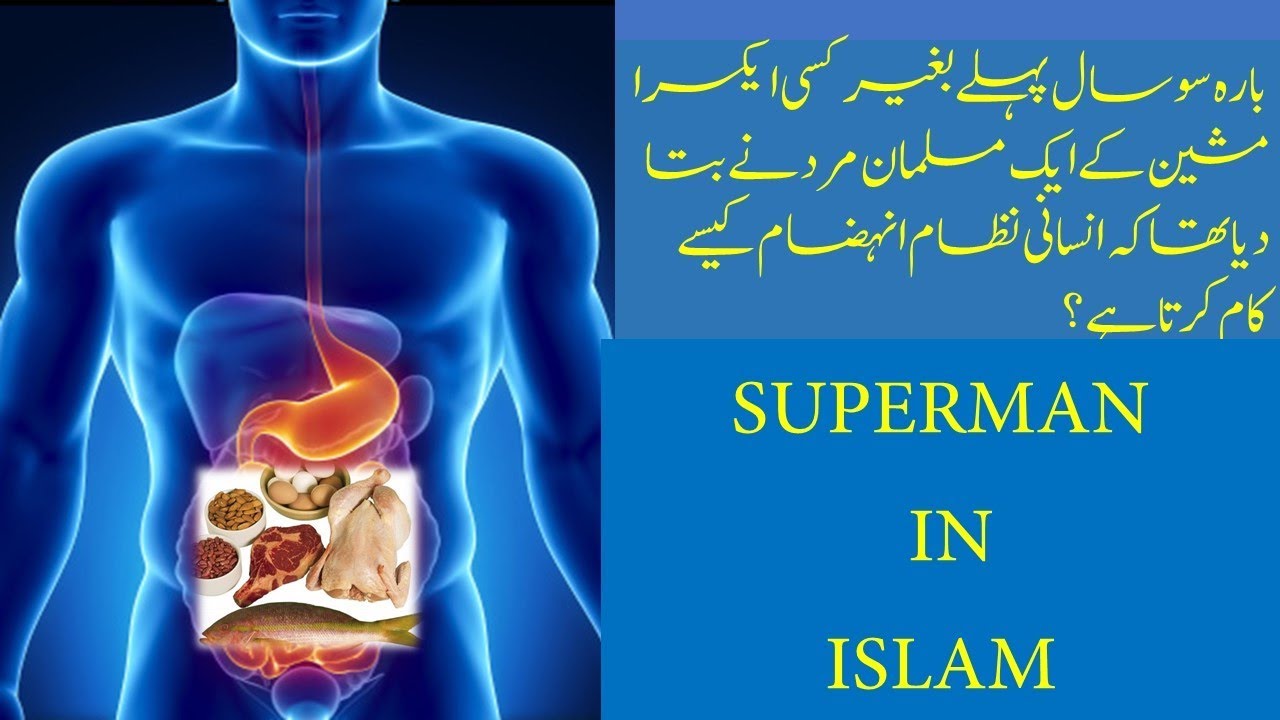 Digestion system explained by Imam Jaffer Sadiq AS / Tib e Imam Jaffer ...