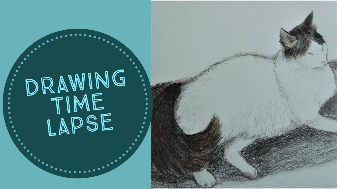DRAWING TIME LAPSE | Drawing a cat - process video - YouTube