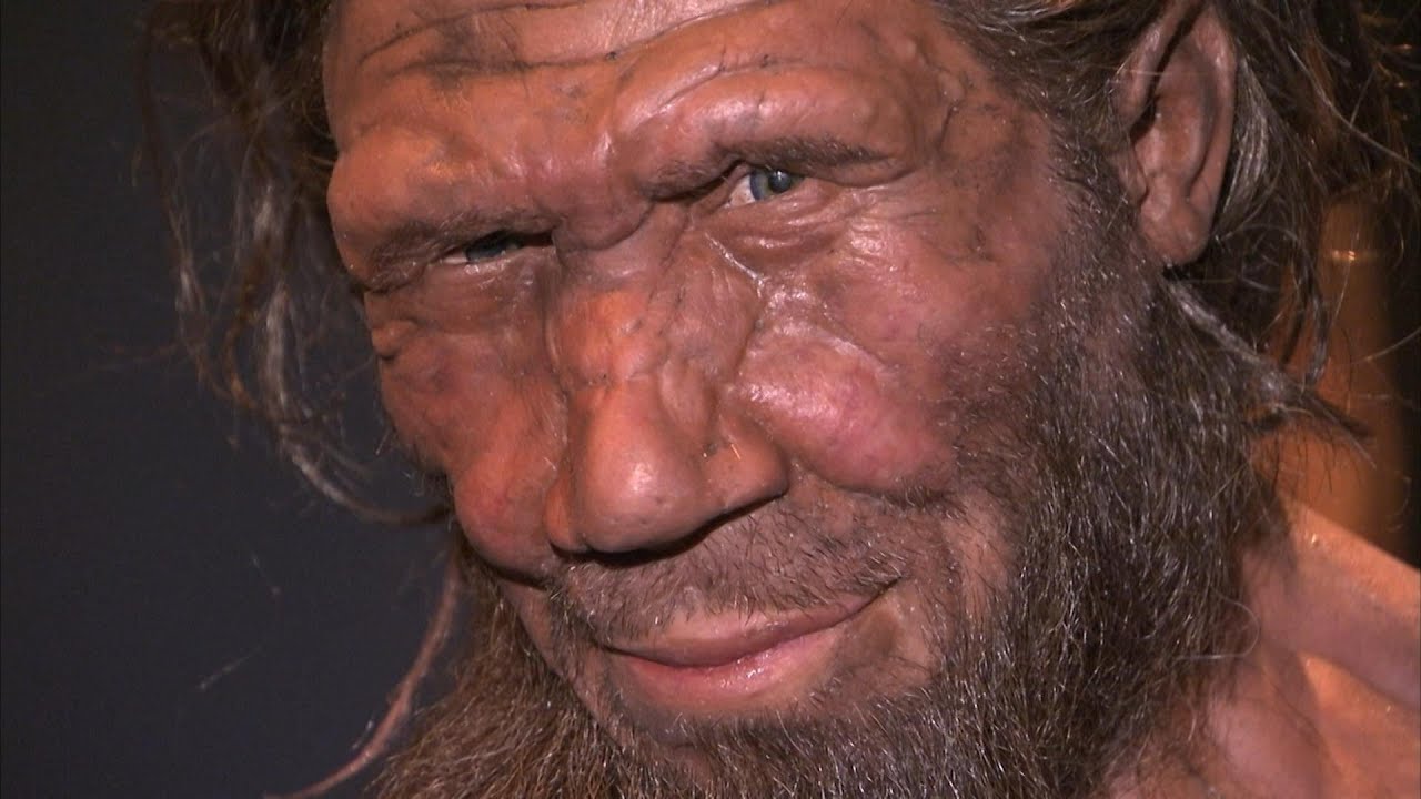 A genetic analysis reveals new details on ancient couplings between ...