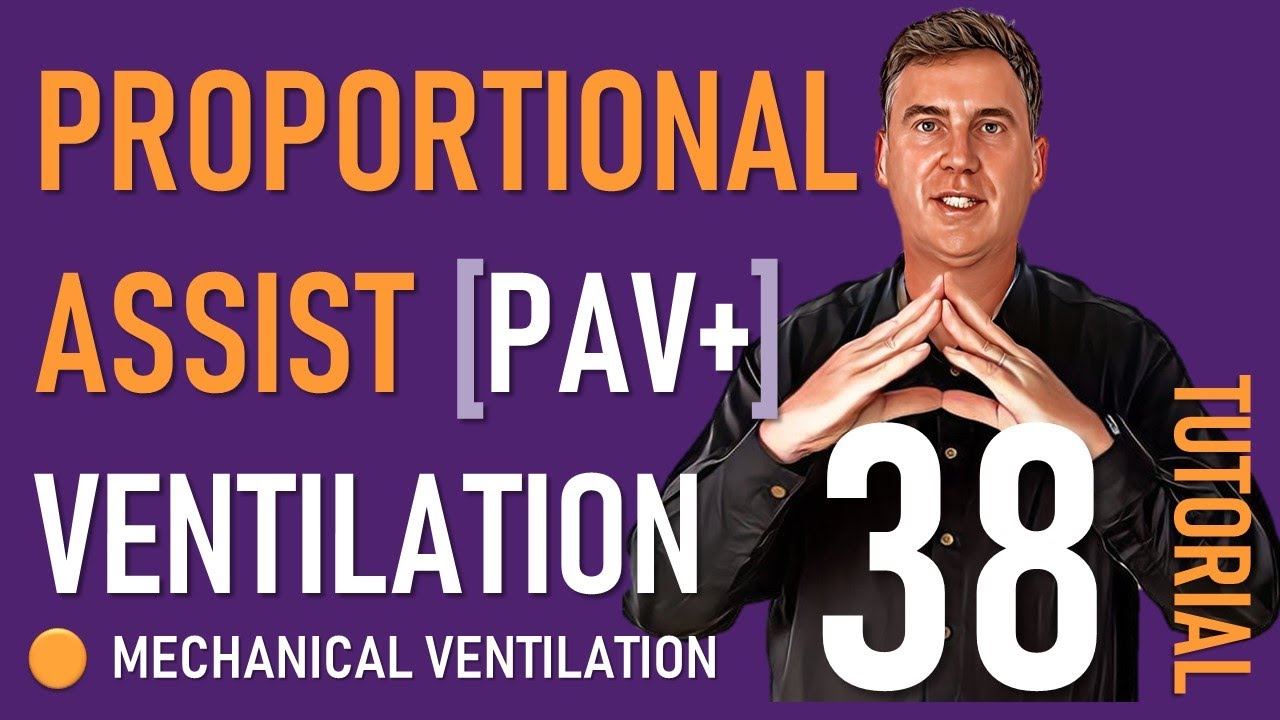 Proportional Assist Ventilation (PAV+) - YouTube